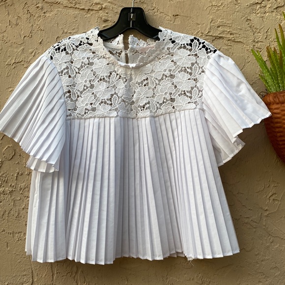 Zara | Tops | Fabulous Bnwt Zara Trf Collection Cutwork Pleated Cropped ...
